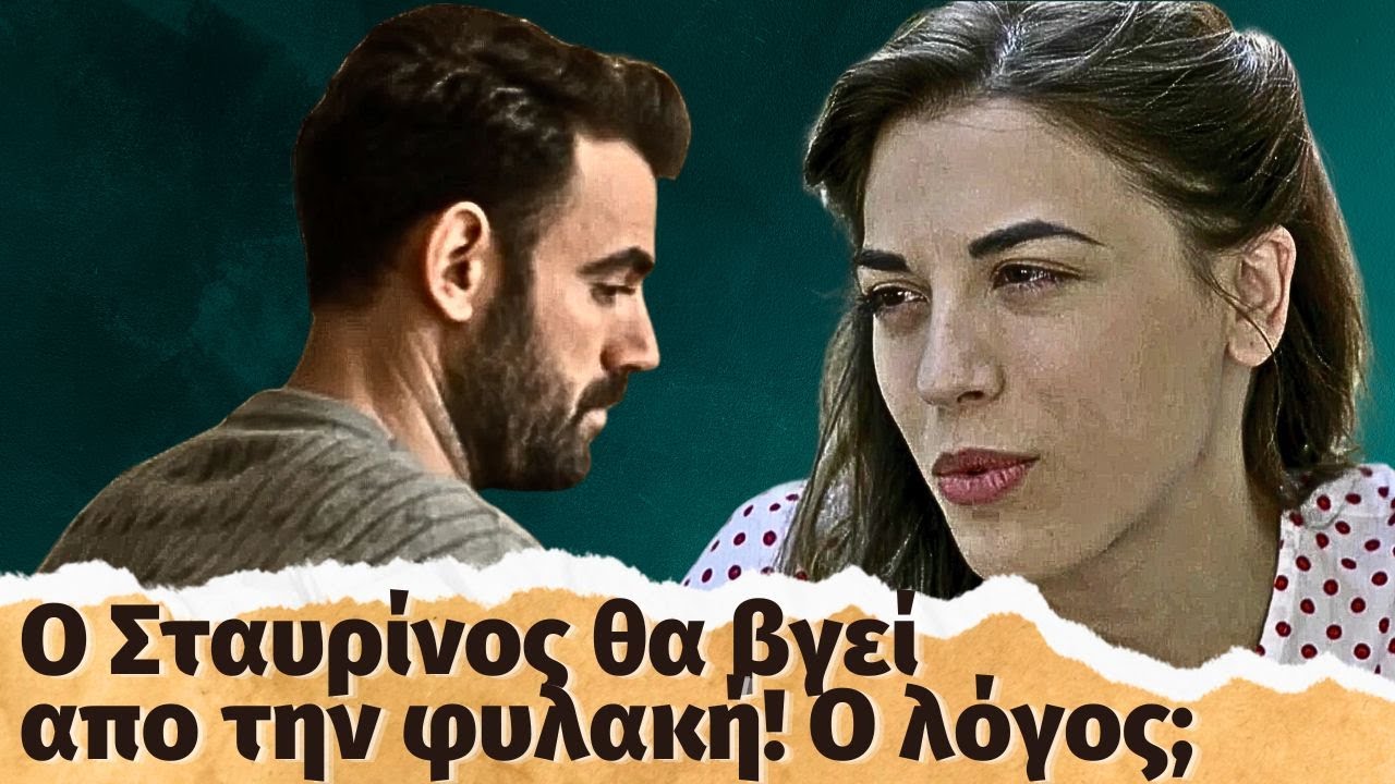 Μαύρο ρόδο - Ο Σταυρίνος θα βγεί απο την φυλακή! Ο λόγος; - YouTube