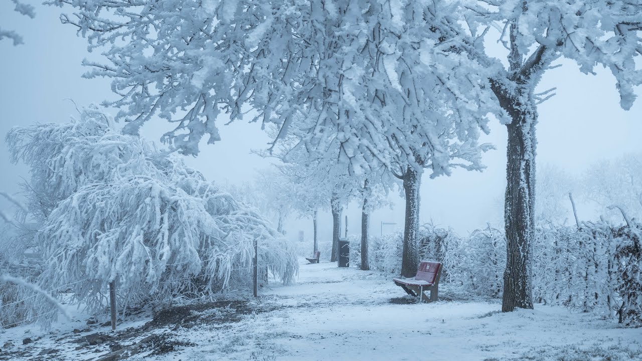 Beautiful winter scenery - frozen Brienz am See in Switzerland - YouTube