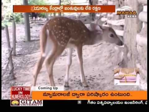 Special Story : Wild Animals About To Disappear in Warangal || 12-04 ...