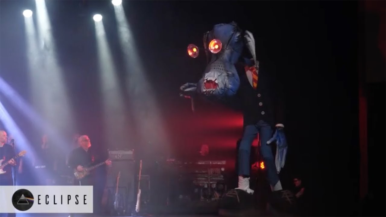 Eclipse – Official Promo – 50th Anniversary Tour – Dark Side of the ...