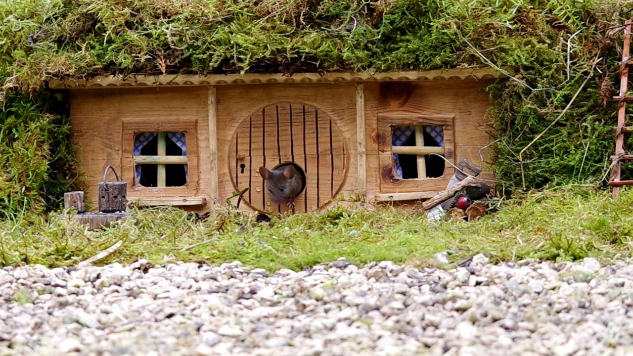George the Mouse in a Log pile House - mouse village - YouTube