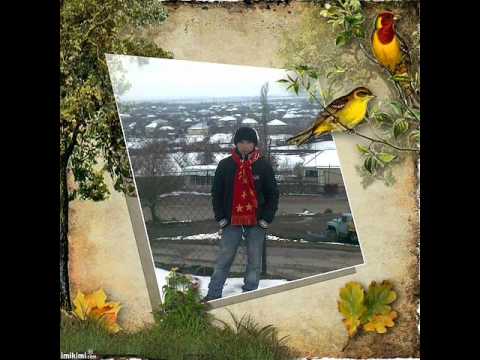 marneuli amil qemli