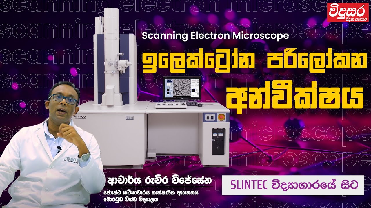 Scanning Electron Microscope | ඉලෙක්ට්‍රෝන පරිලෝකන අන්වීක්ෂය - YouTube