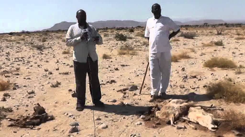 Warka Berbera ee Cabashada Khashinka Maxjarka indho Deero - YouTube