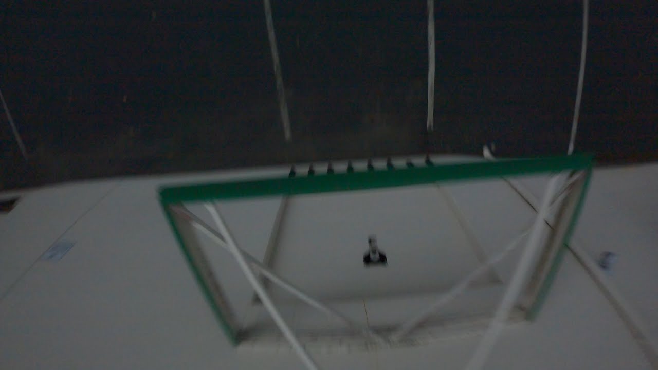 Grizzly Dive Loop - YouTube