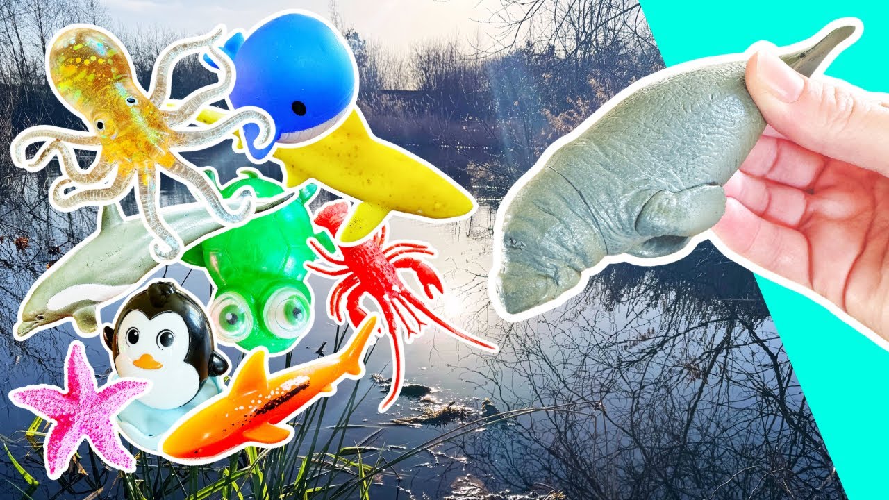 Learn Sea Animal Names at the Pond for Babies Toddlers Kids: Jellyfish ...