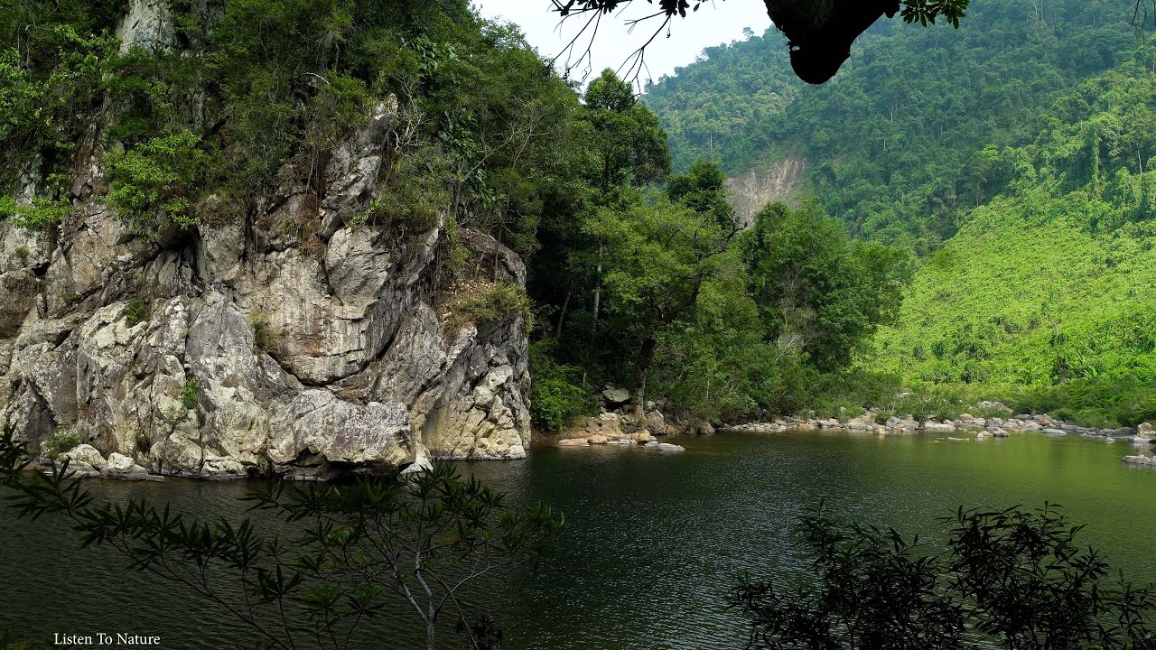 Beautiful Scenery and Rive Sounds, Birds Singing, Relax 10 Hours - YouTube