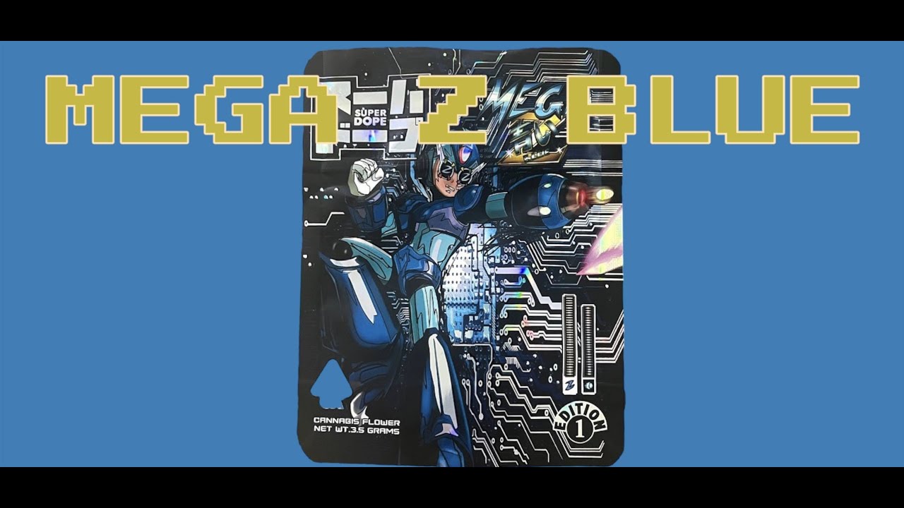 MEGA Z BLUE from SUPER DOPE x FEAR OF BOOF x HI TECH STRAIN REVIEW ...