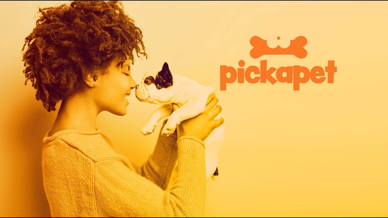 Pick a pet Promo Tv - YouTube