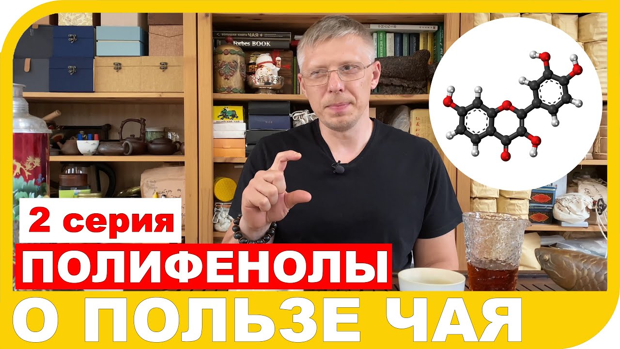О ПОЛЬЗЕ ЧАЯ. 2 СЕРИЯ. ПОЛИФЕНОЛЫ - YouTube