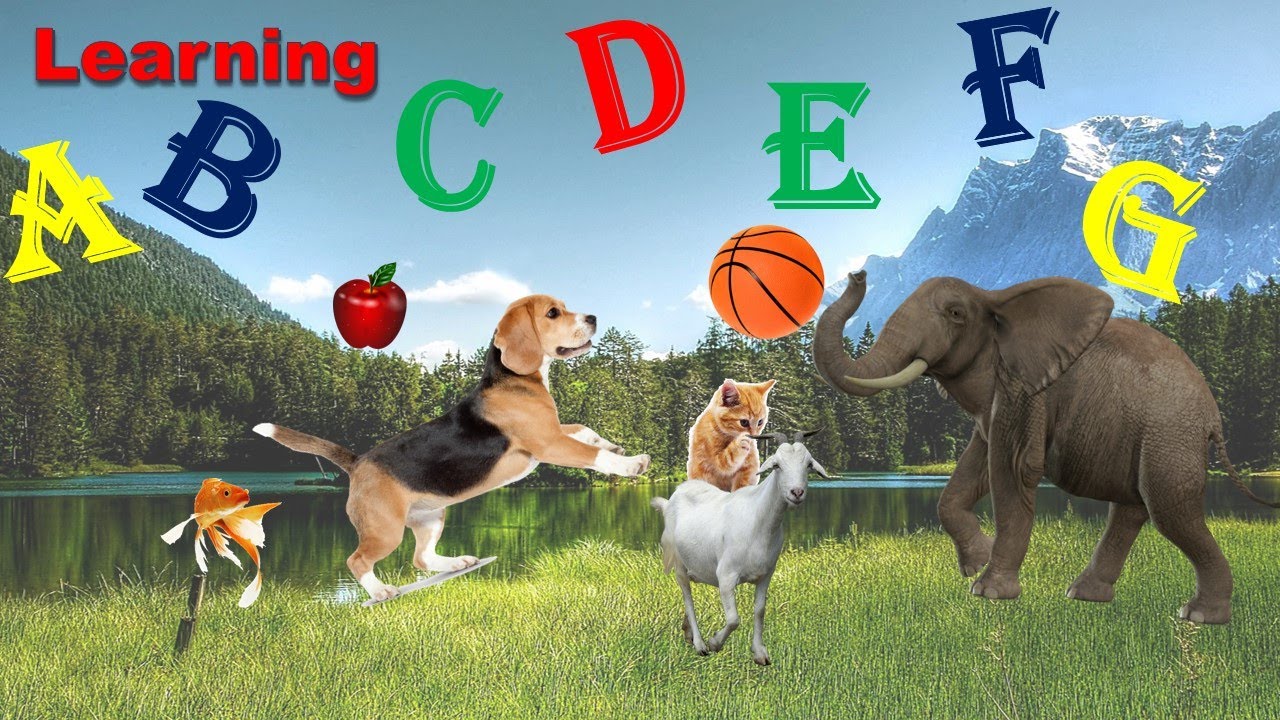 Lets Learn Alphabets-Part 1 by Edu Elites - YouTube