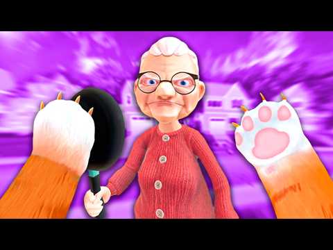 KEDİ OYUNU EN KOMİK ANLAR #1 - iplusd VR