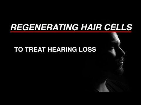 How To Grow Back Inner Ear Hair For Hearing