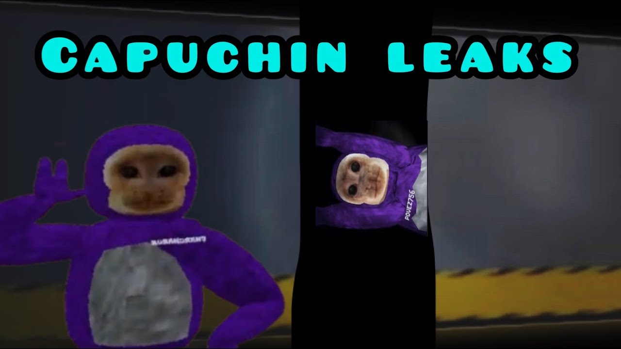 Capuchin leaks for level 3 (release date) - YouTube
