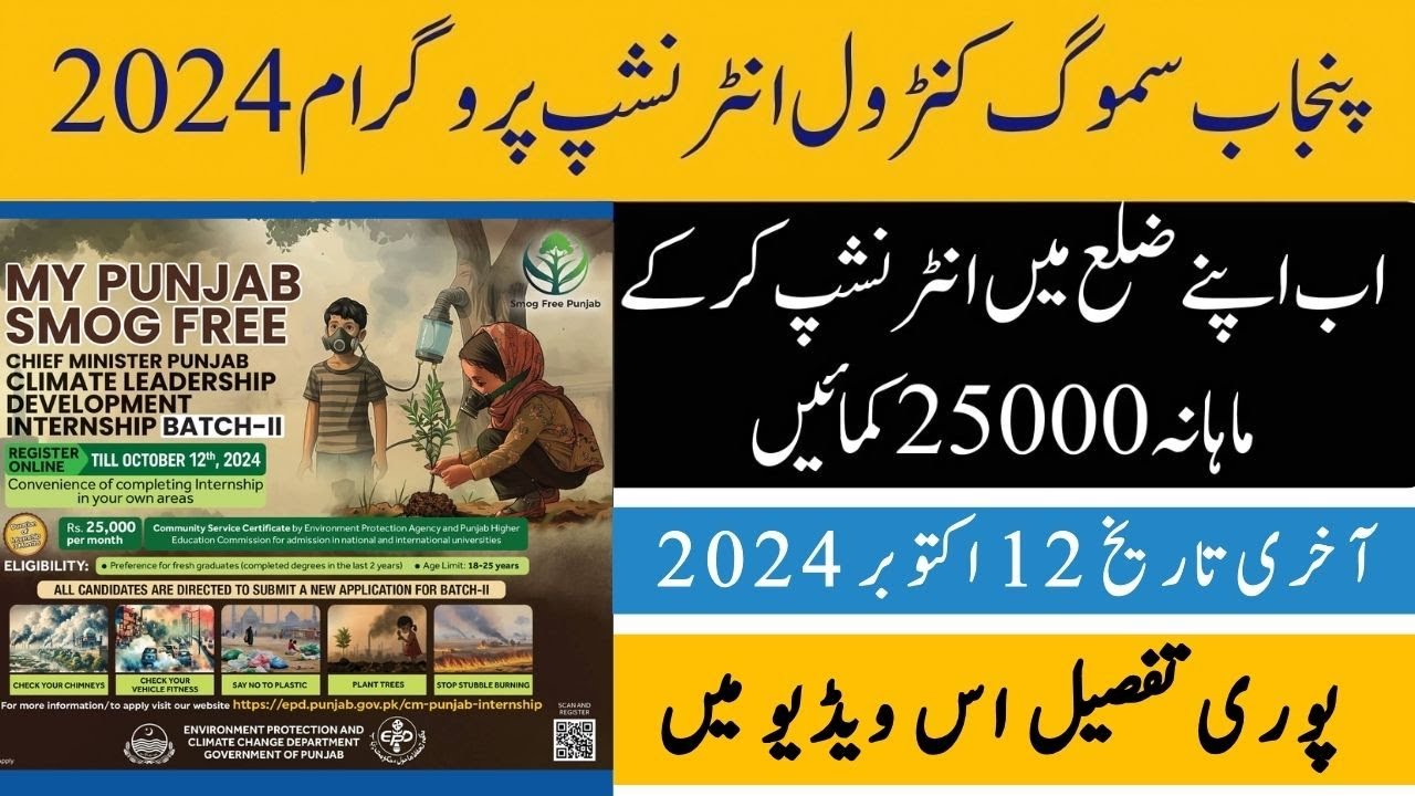 CM Punjab Climate Leadership Development Internship Program Batch II ...