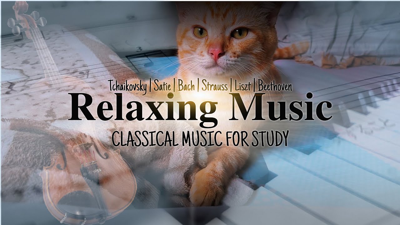Classical Music & Sleeping Cat | Relax for 43 Minutes with Timeless ...