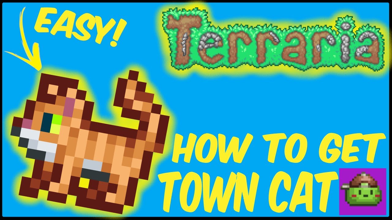 How To Get The Town Cat In Terraria | Terraria 1.4.4.9 - YouTube