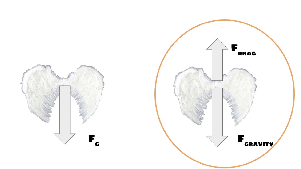 Fallen Angel Lab 02 - YouTube