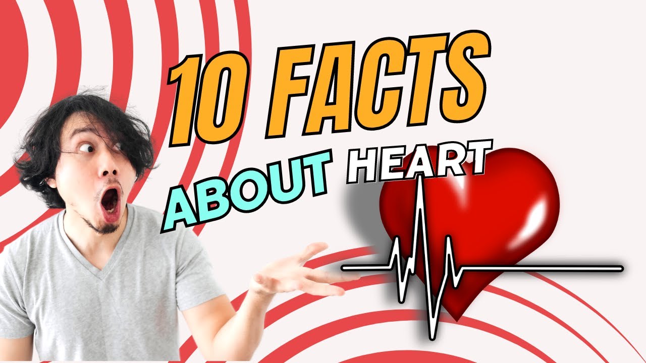 10 Fascinating Facts About Human Heart Youtube