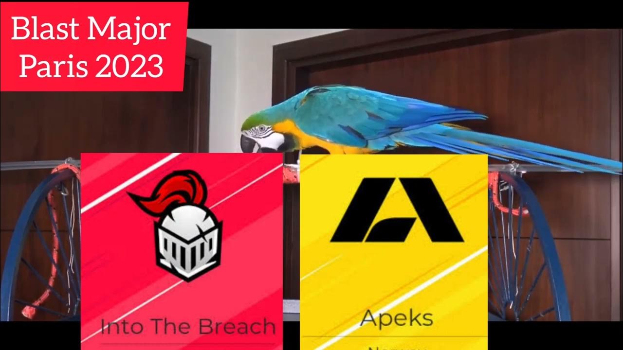 Into The Breach vs Apeks Prediction - BLAST Paris Major 2023 - Parrot Prediction | CSGO - YouTube