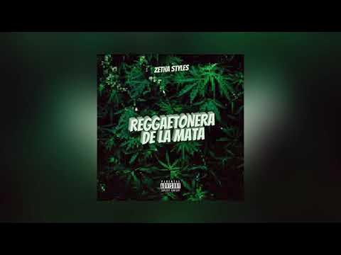 Zetha Styles - REGGAETONERA DE LA MATA (Audio Oficial) - YouTube
