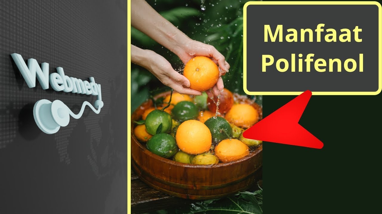 Apa itu Polifenol? | Manfaat Kesehatan dari Polifenol - YouTube