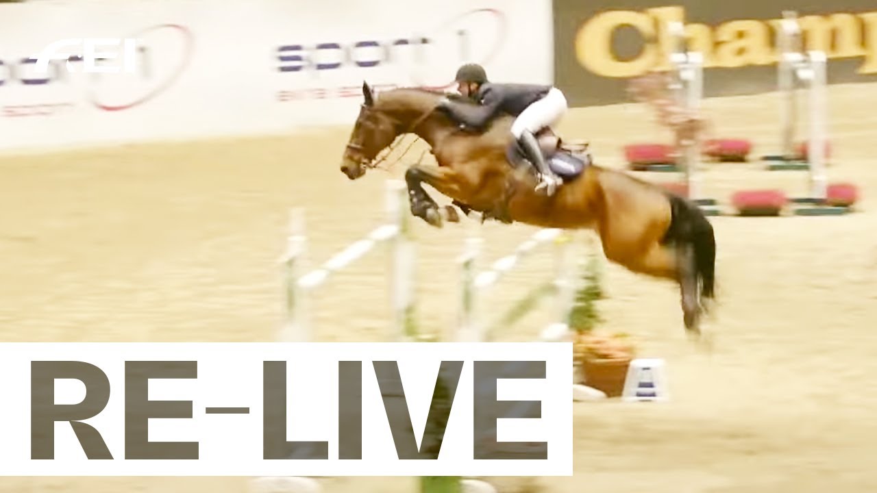 Horse Jumping Competition