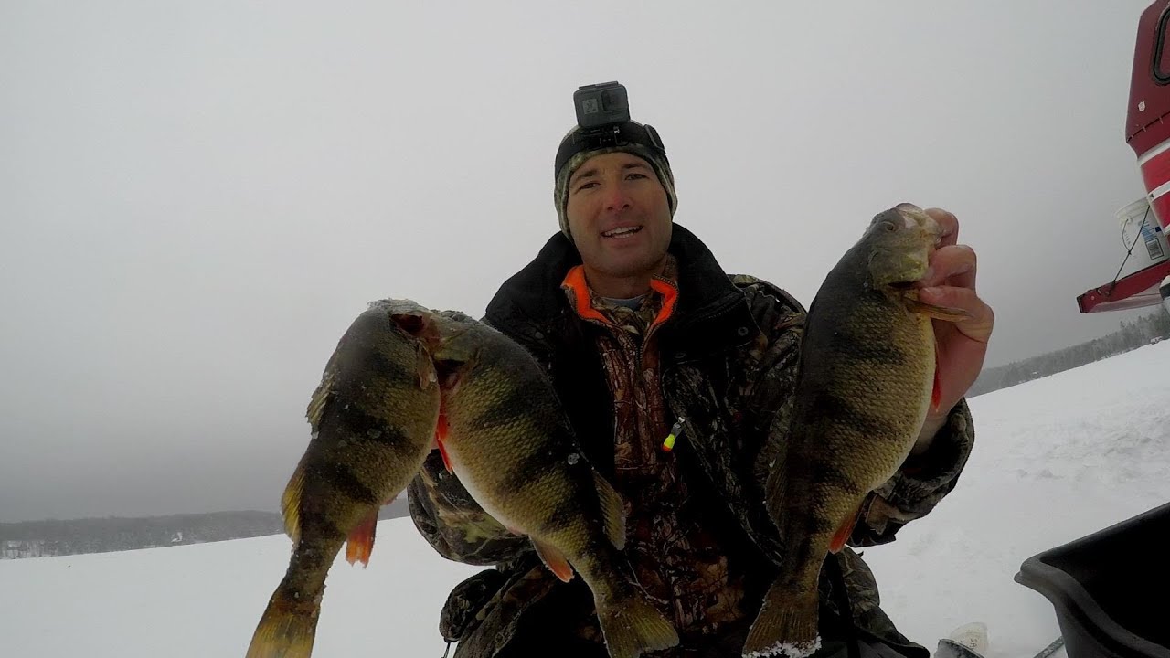 Ice Fishing Perch In The Mud Flats. - YouTube