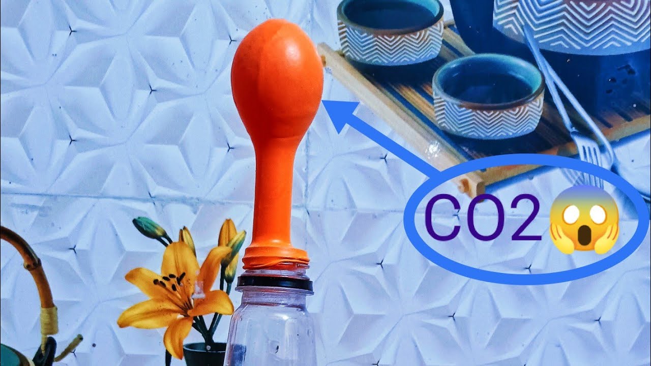 How to form carbon dioxide at home CO2..#experiment #shortexperiment # ...