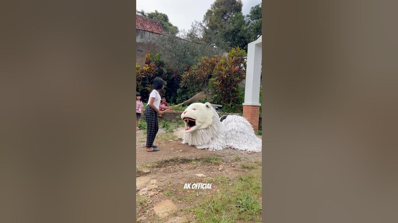 Cewek Baju Putih Lagi Nyapu Mau Di Makan Can Macanan!! - YouTube