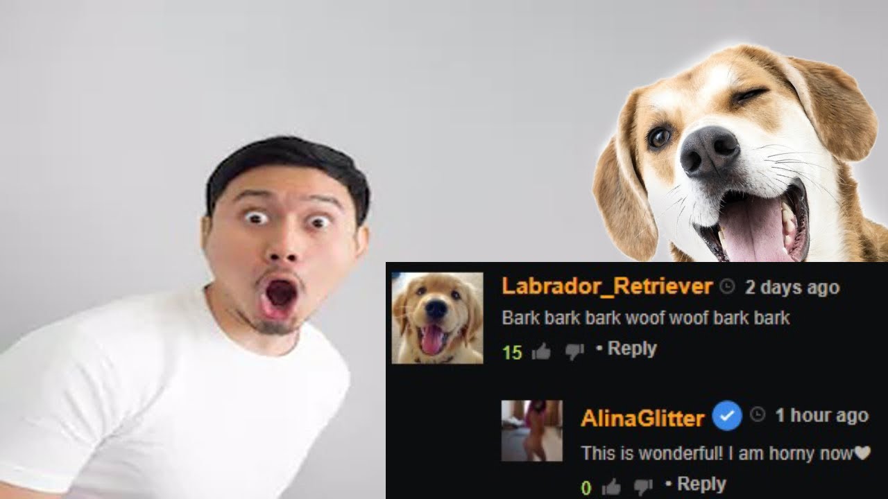prawnhub comments - YouTube