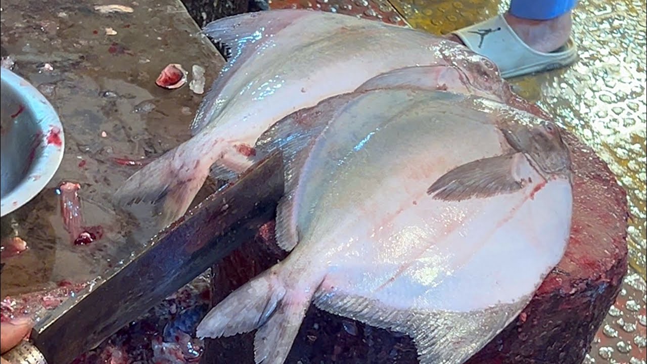 Most Delicious Big Pomfret Fish Cutting By Expert Fish Cutter | Fish ...