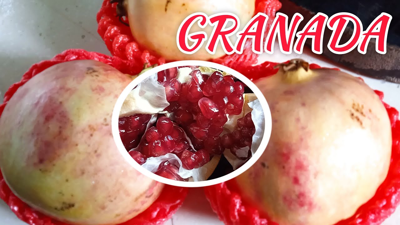 Let's Eat Pomegranate Or Granada #Fruit - YouTube
