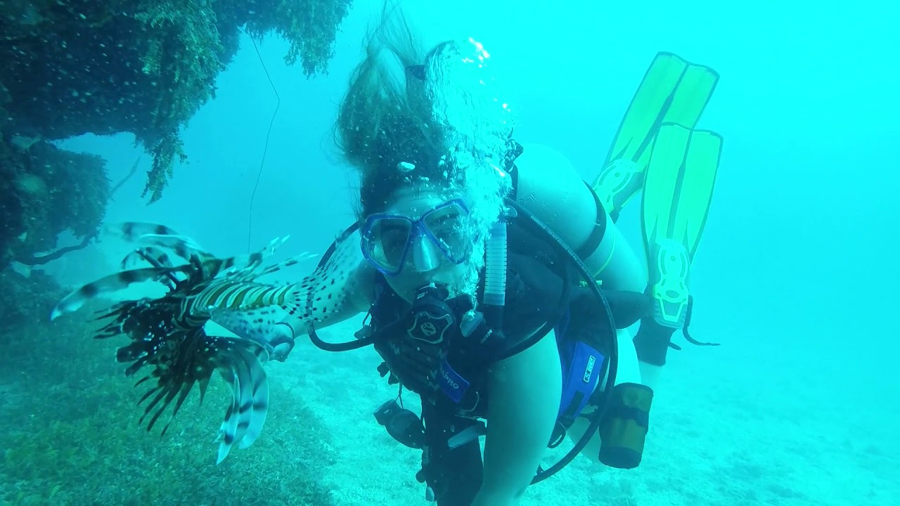 Watch This First Lionfish Kill In Jamaica! - YouTube