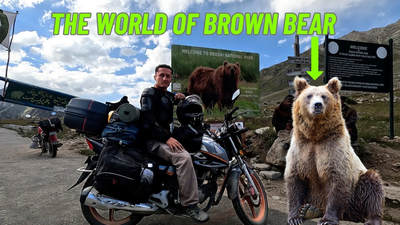 The Land Of Brown Bear 🐻 | Deosai National Park | Sheosar Lake | Vlog ...