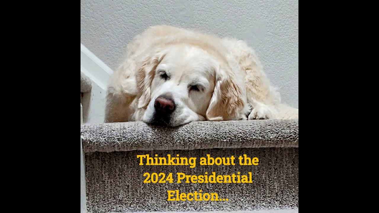 Gen X and THE ISSUE of the 2024 Presidential Election - YouTube