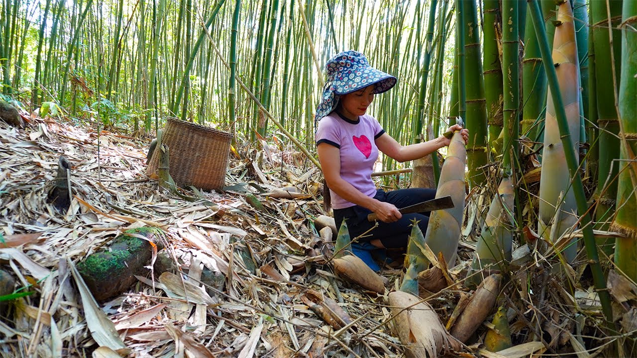 Take bamboo shoots and dry them, make bone stew with bamboo shoots I Lê ...