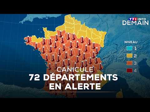 Canicule : 72 départements en alerte｜TF1 INFO