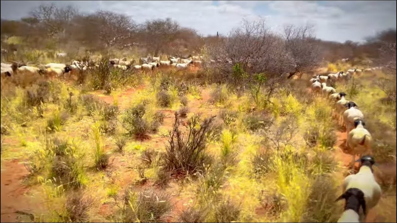 AROORKA ADHIGA XILIGA JIILAALKA AH. - YouTube