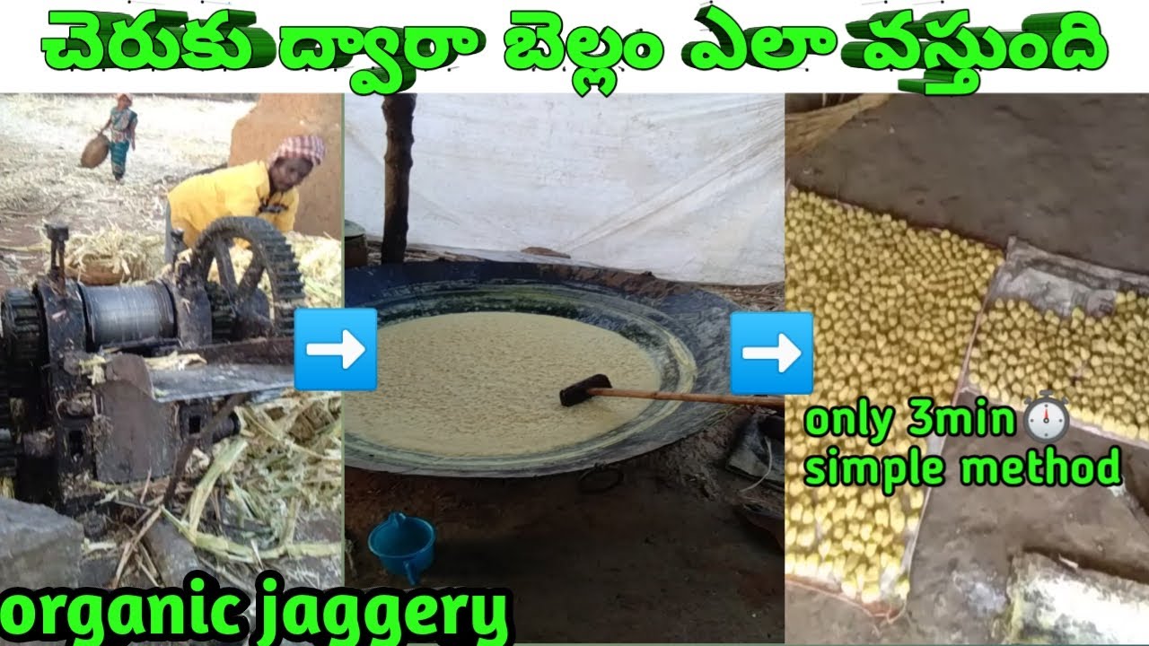 jaggery making ||my farms - YouTube