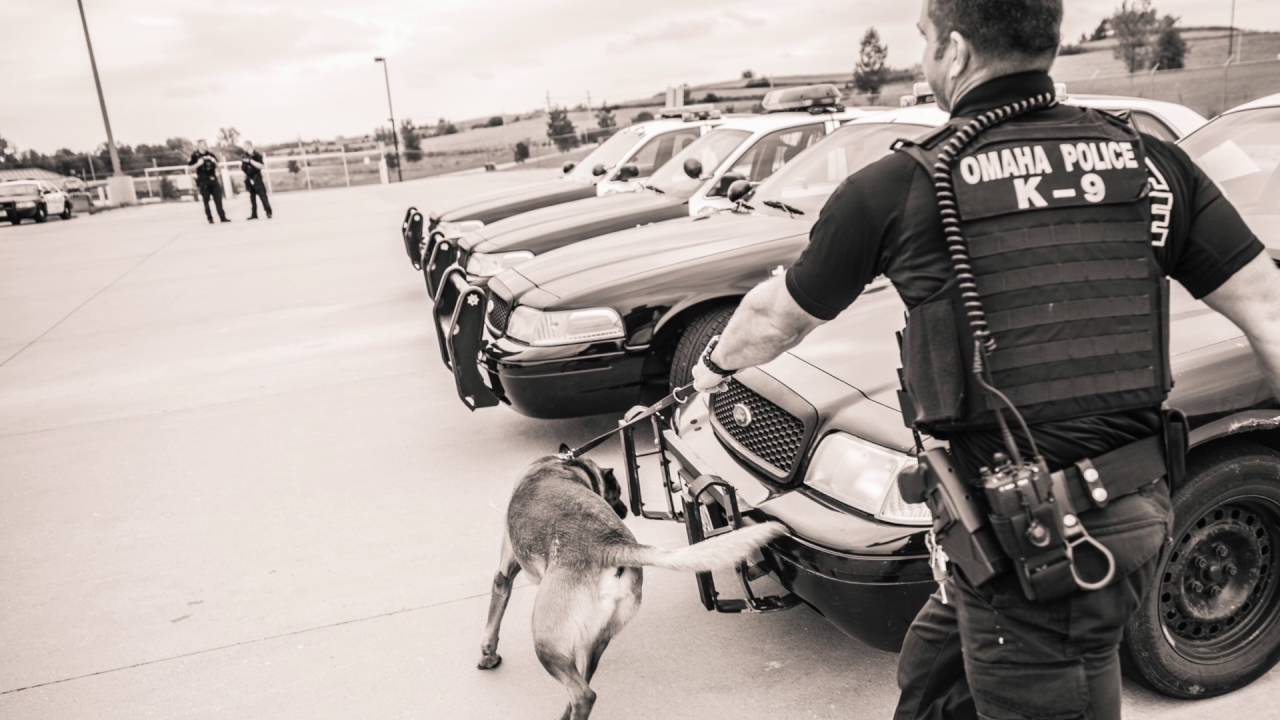 2016 OPD K9 Unit - YouTube