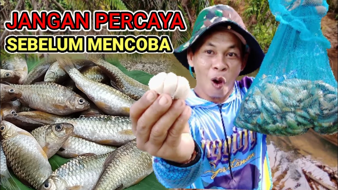 UMPAN MANCING IKAN WADER PALING JOS @PUTRICHANNEL - YouTube