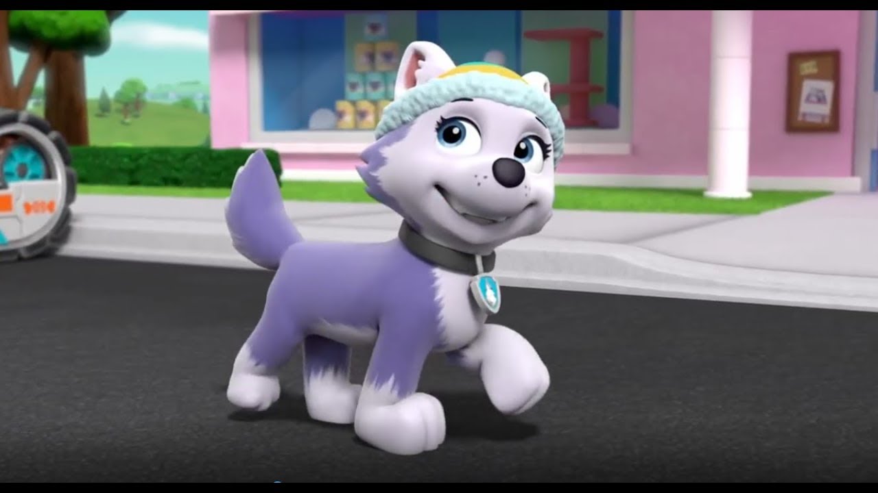 Paw Patrol Funny Moments - Best Animation Moments For Kids #18 - YouTube