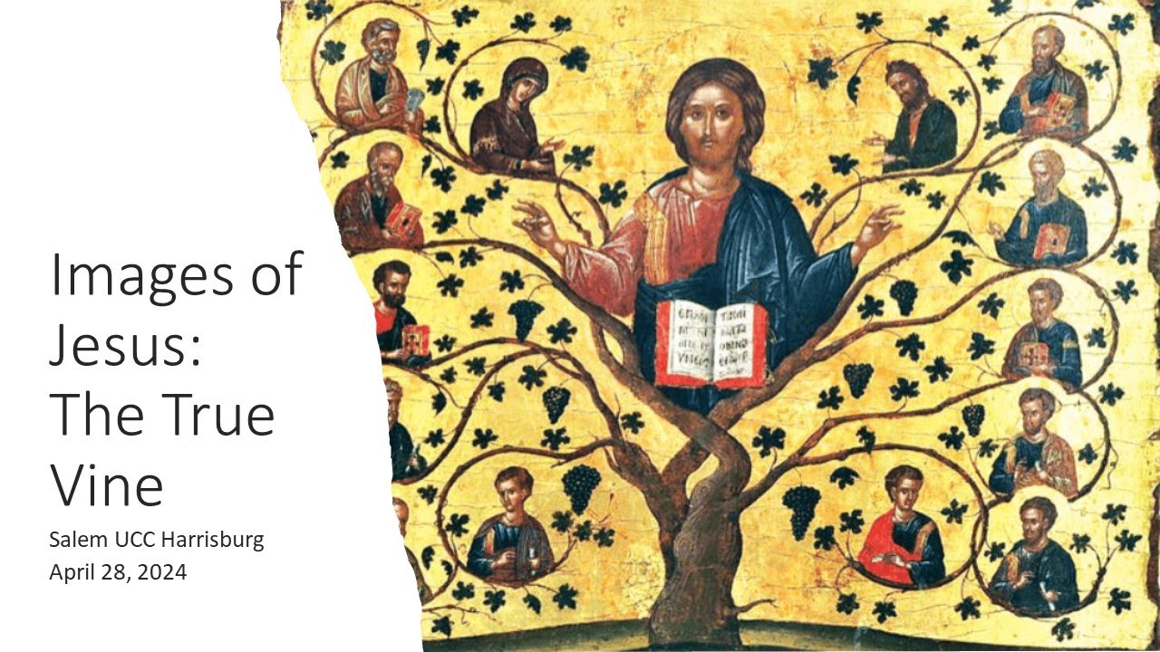 Images of Jesus: The True Vine - YouTube