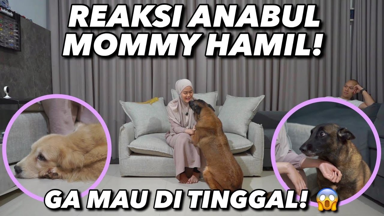 TERHARUU REAKSI ANABUL TAU MOMMY HAMIL 🥲 - YouTube