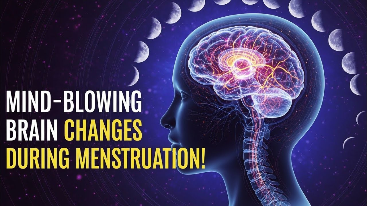 Mind-Blowing Brain Changes During Menstruation! - YouTube