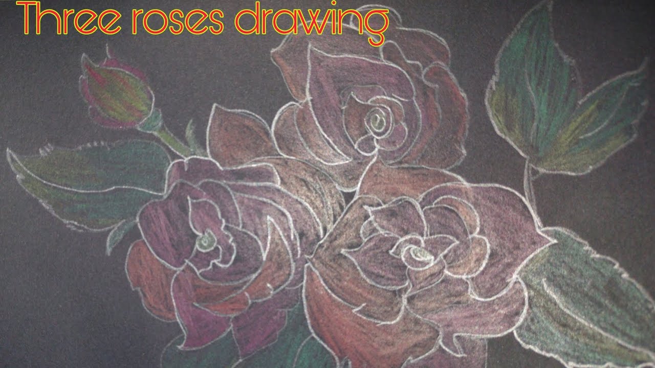 Step by step /Three roses drawing - YouTube