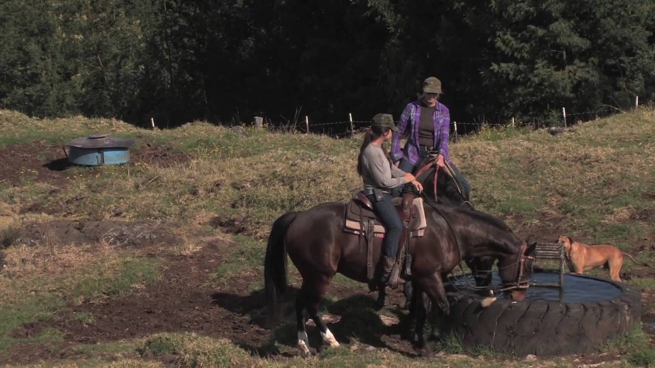 Thompson Ranch Maui - YouTube