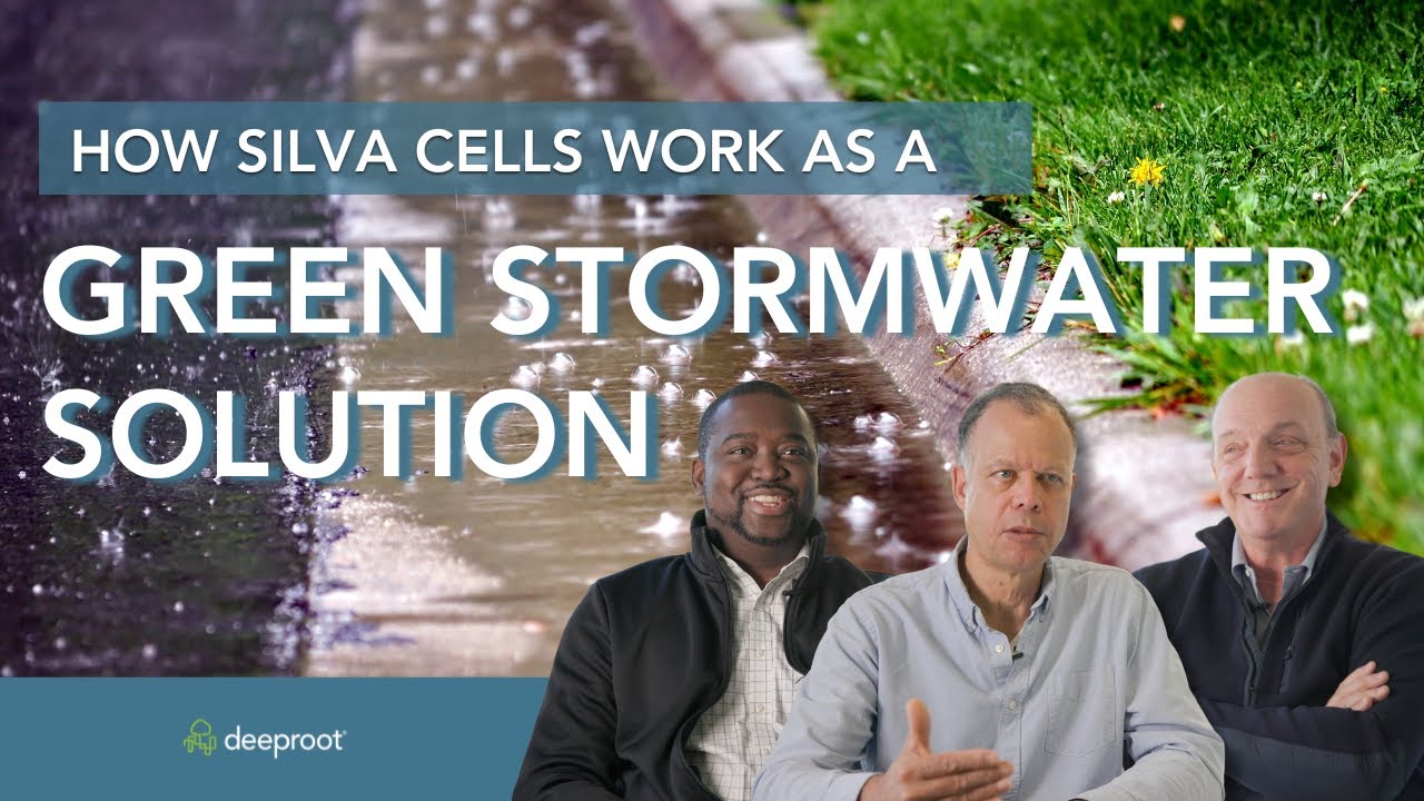 DeepRoot Silva Cells as a Green, LID Stormwater Tool - YouTube