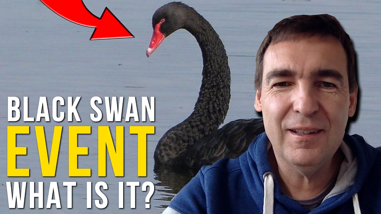 What is a Black Swan Event? - Exponential Economy #9 - YouTube